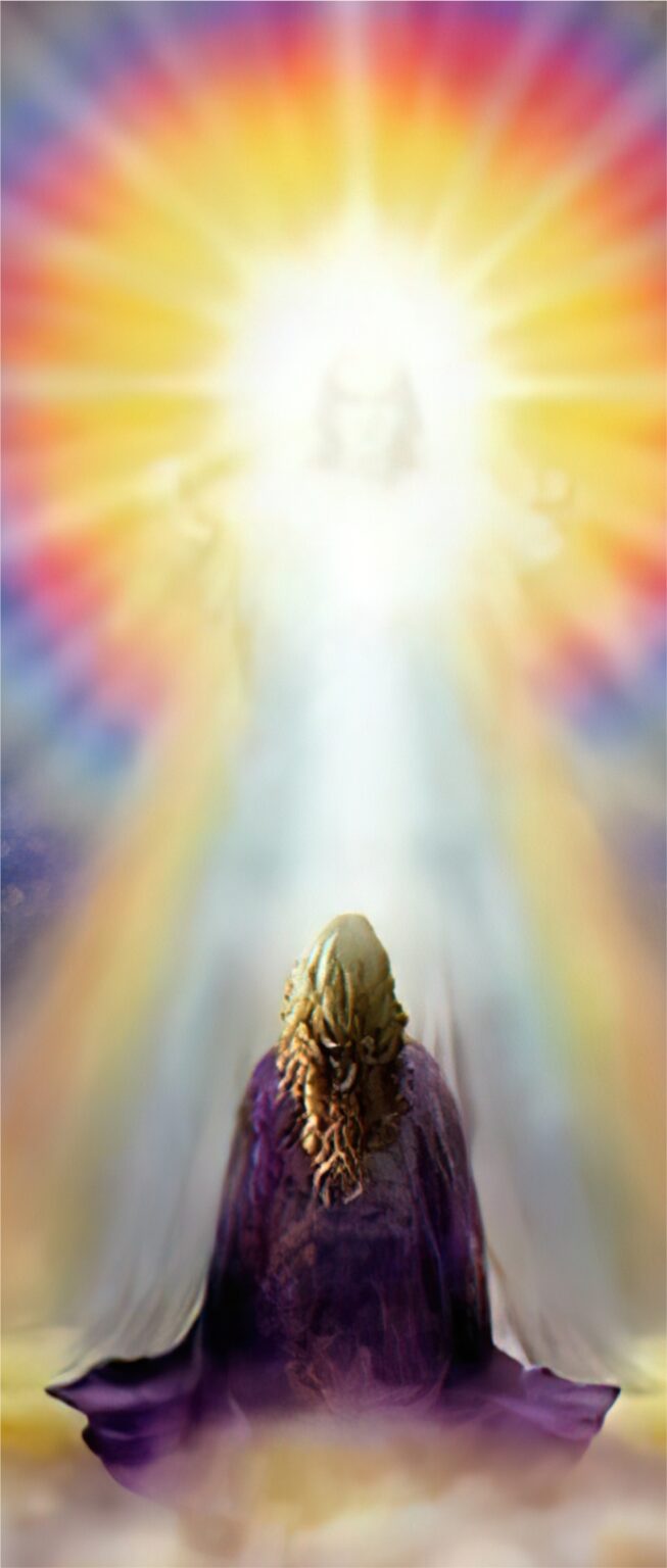 12-Conexión Esencia Divina o Yo Superior – El Brillo de tu ser